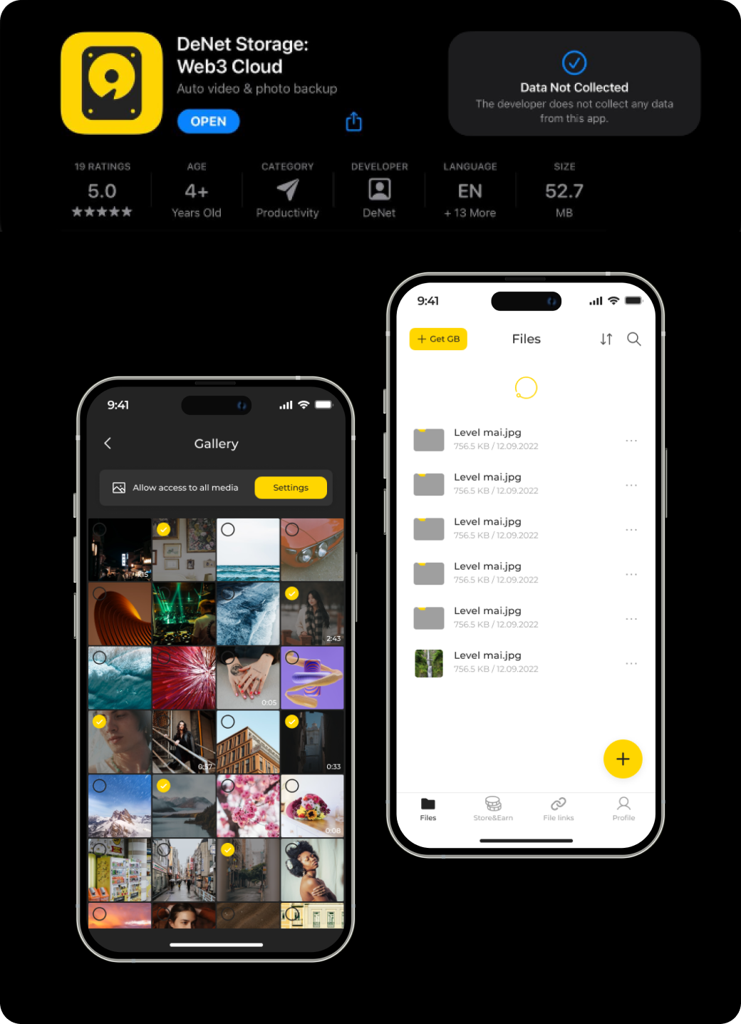 DeNet Storage - DeNet Docs